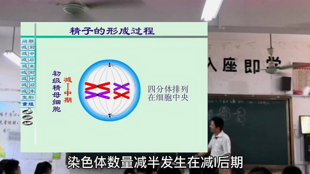 雌雄配子细胞是怎么形成的?冯老师带你了解减数分裂过程