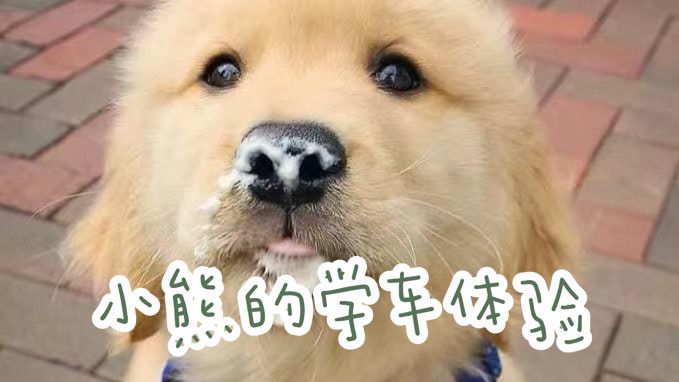 学车要学自动挡还是手动挡?小熊司机上线啦,跟小熊一起探索吧～