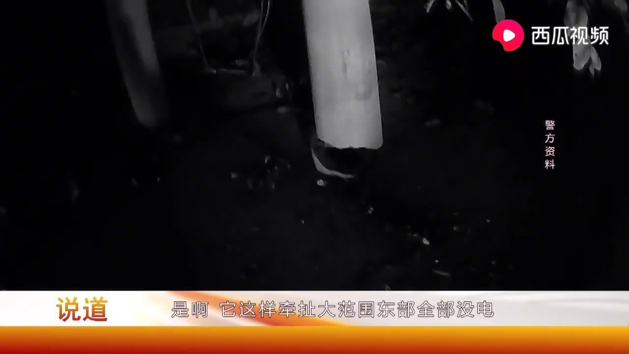 倒车撞毁电线杆,司机逃逸交警到场,利用线索3小时破案