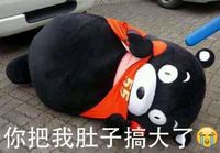 我是你的神马你是我的浮云 