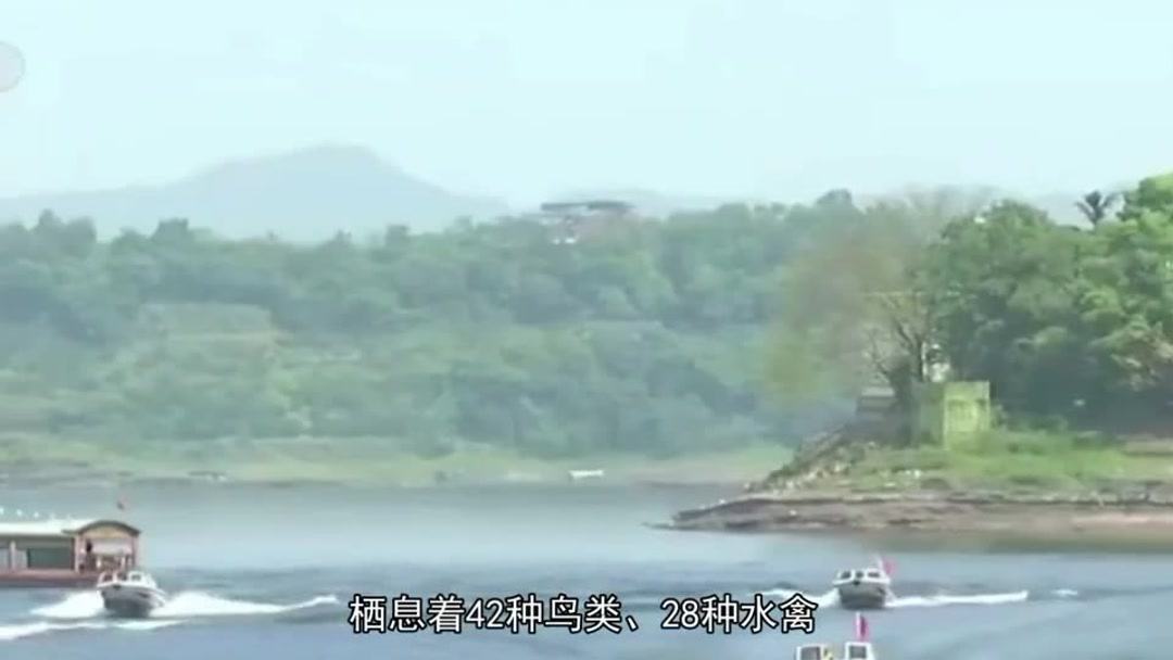 「秒懂百科」一分钟带你游遍重庆市长寿湖风景区