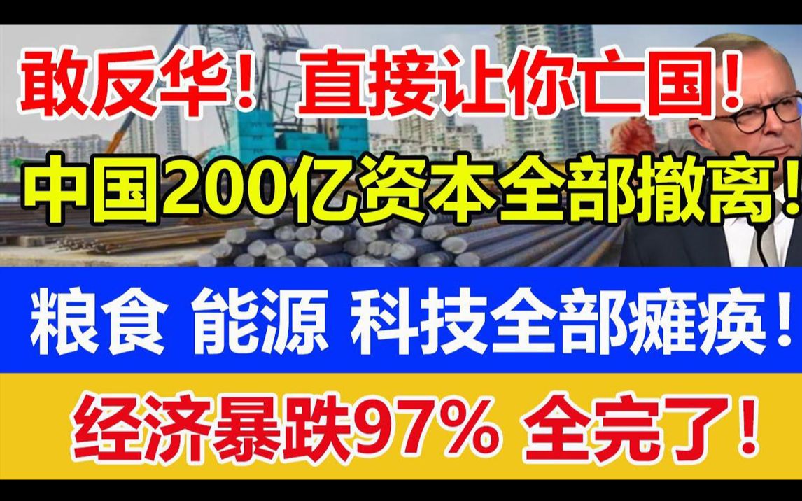 敢反华!直接让你亡国!中国200亿资本全部撤离!粮食 能源 科技全部瘫痪...
