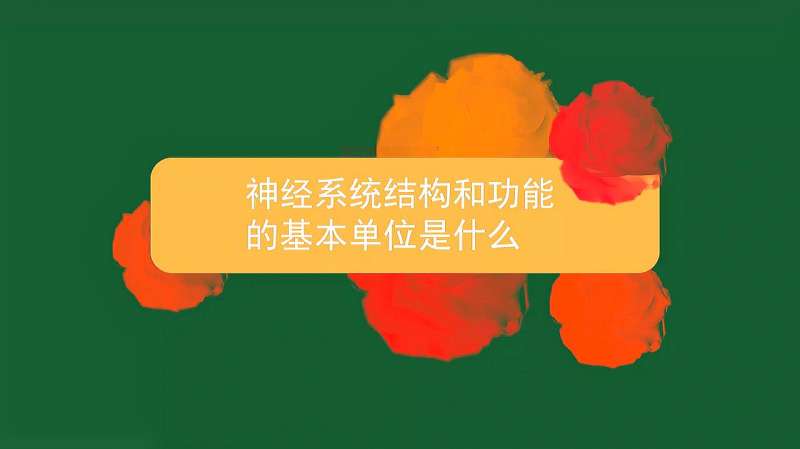 神经系统结构和功能的基本单位是什么