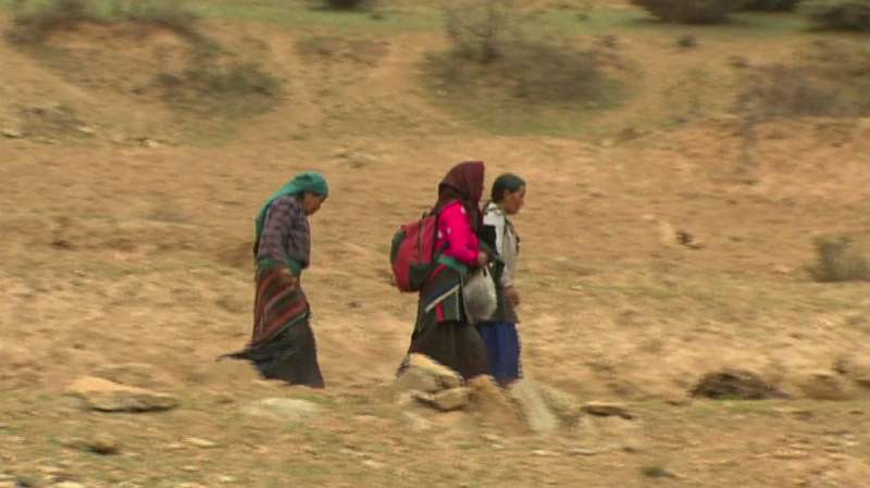 村子里的人,都信封藏传佛教,都说藏语