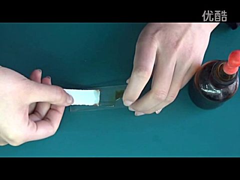 观察口腔上皮细胞实验