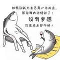 子弦聊推广 