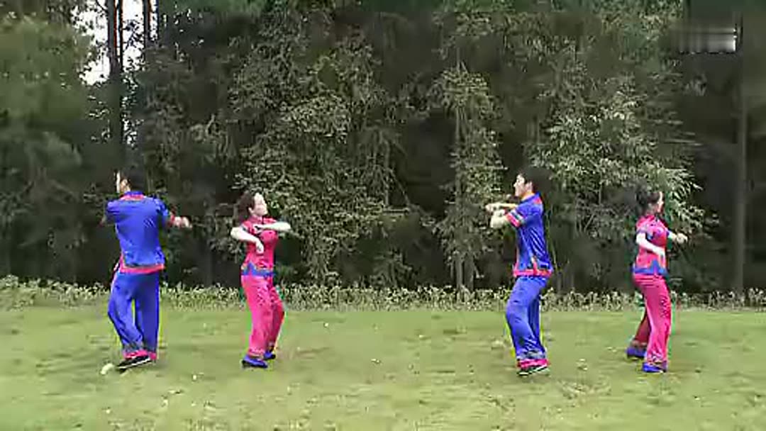 土家族舞蹈,土家族摆手舞教学视频之全套示范动作(三)_标清