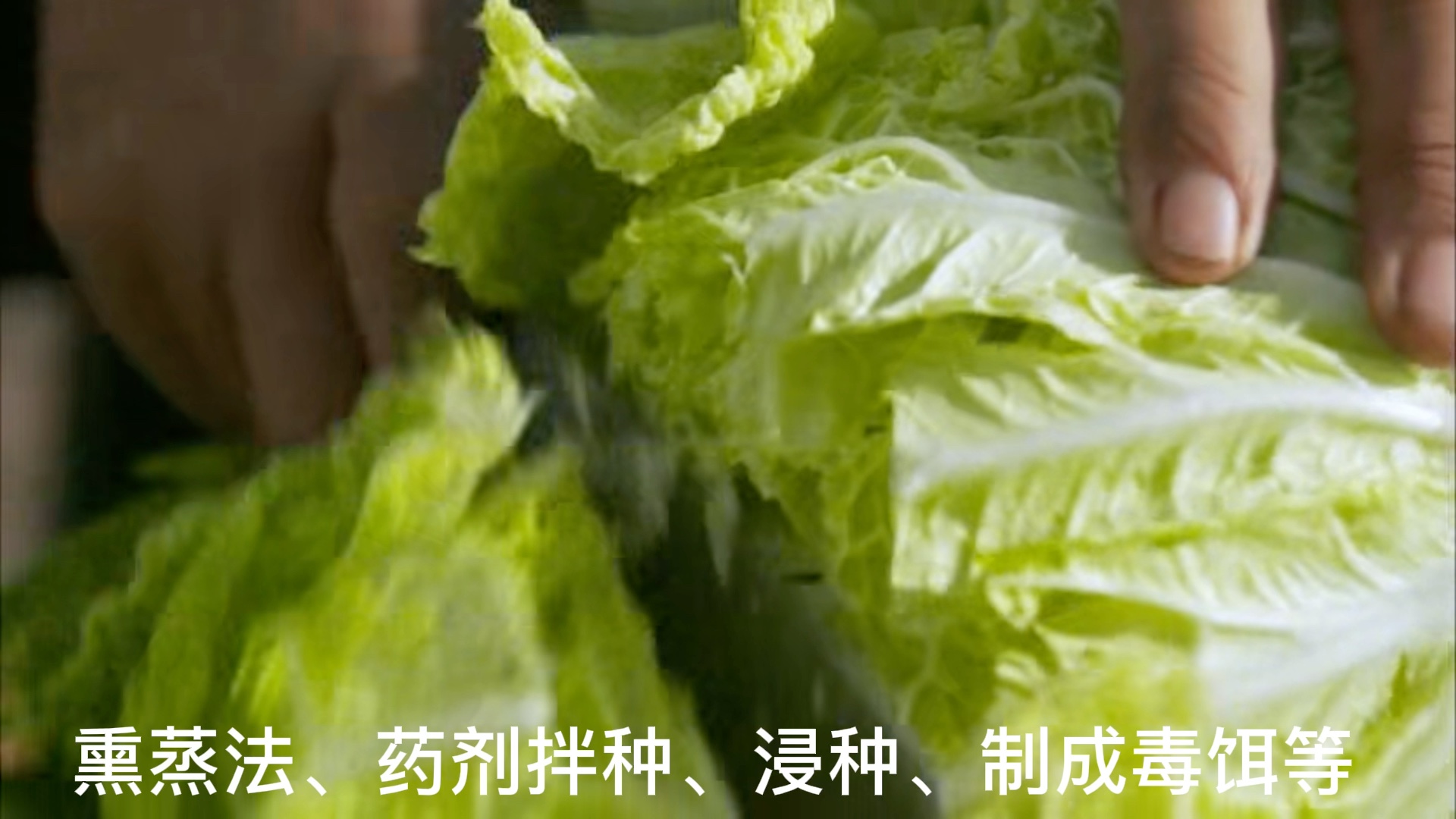 使用农药有哪些常用的方法?