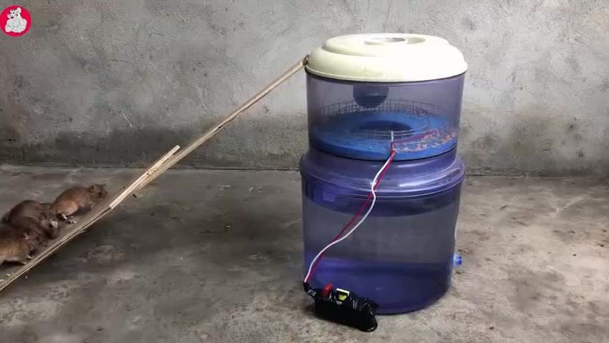 万无一失的捕鼠神器,二层上面带电下层慢慢的水!