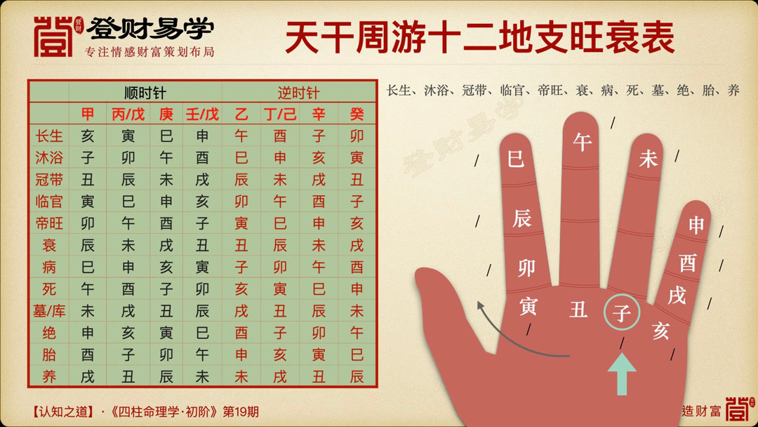 第15节 旺衰篇:天干周游十二地支旺衰