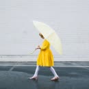 路过你的世界撒 
