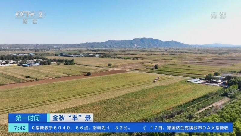 [第一时间]金秋“丰”景 河北武安:生产全程机械化 谷子增产增收