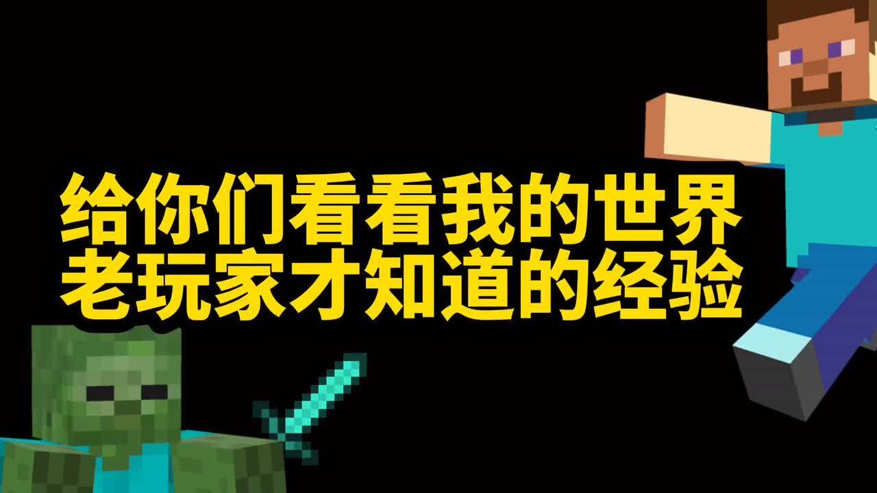 我的世界:给你们看看我的世界老玩家才知道的经验!