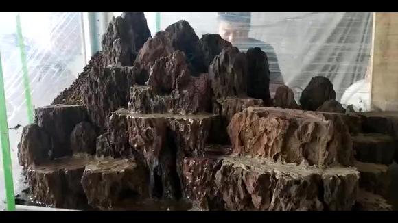 松皮石造景骨架#抖音小助手 #生态缸造景 #水陆缸