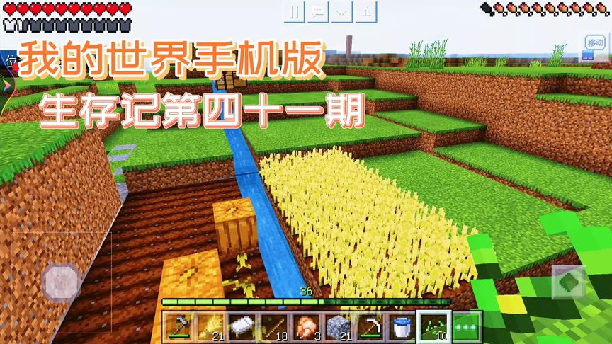 我的世界手机版生存记第41期,发展农业才是生存之道大型农场开建