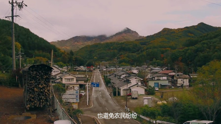 日本经济那么发达,为何农村比城市都富裕?长见识了!