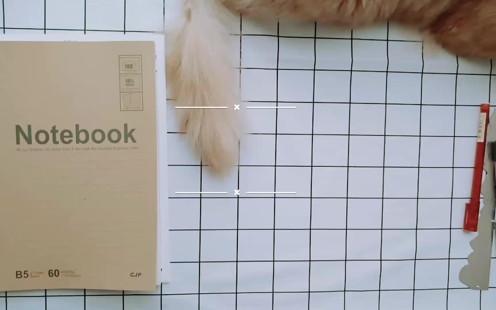 「study with me」英语|翻译|Day 8