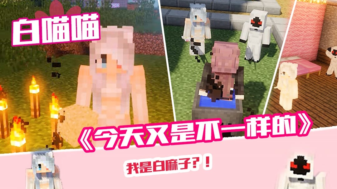 我的世界:不一样的白喵