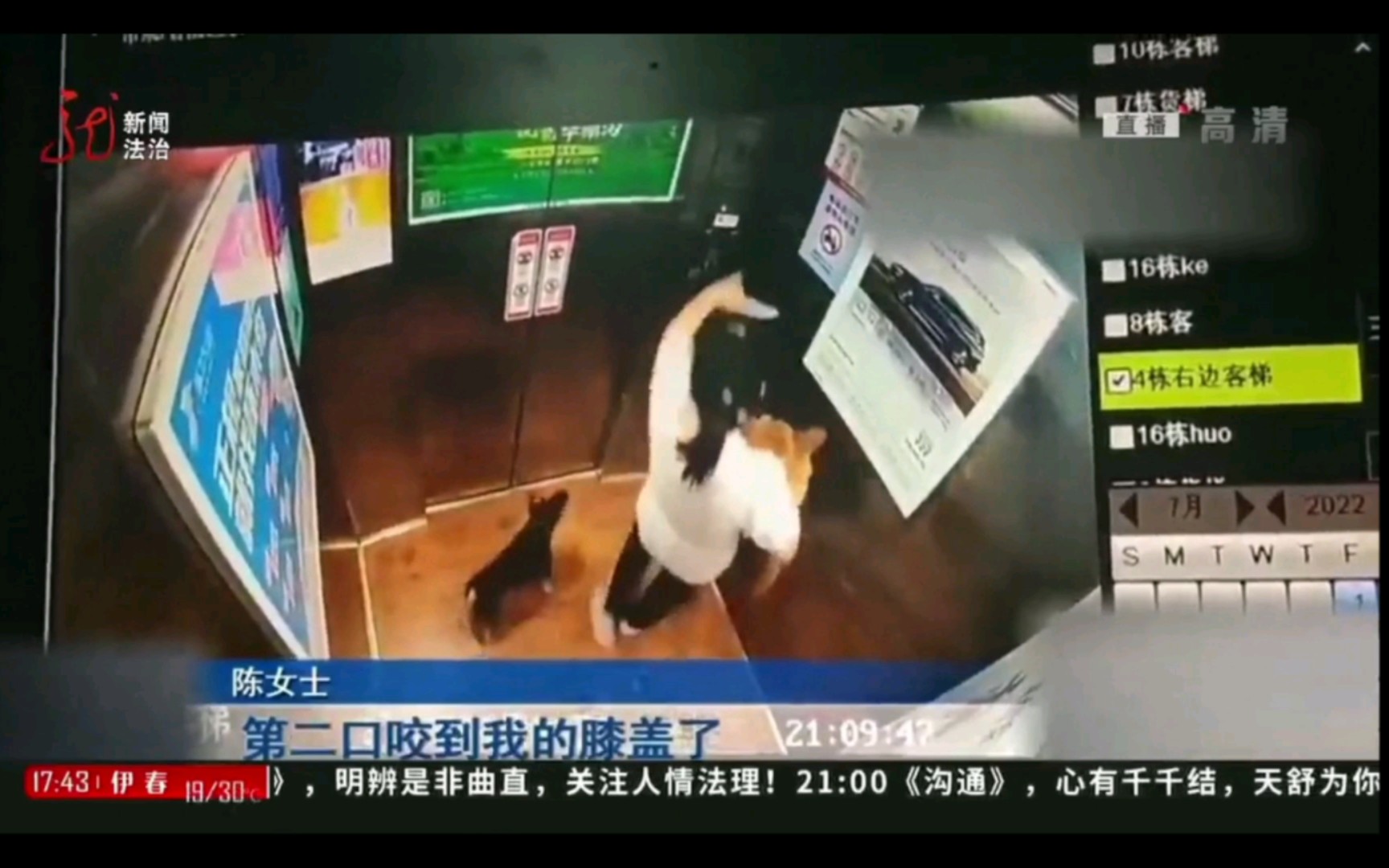 重庆:养犬不文明 “狗咬狗”变“狗咬人”