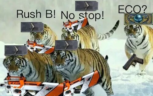 【CSGO开箱】当非洲萌新开始尝试传说中高爆率的光谱(本视频可能...