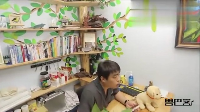 怎样给狗狗正确洗澡?学问这么大!