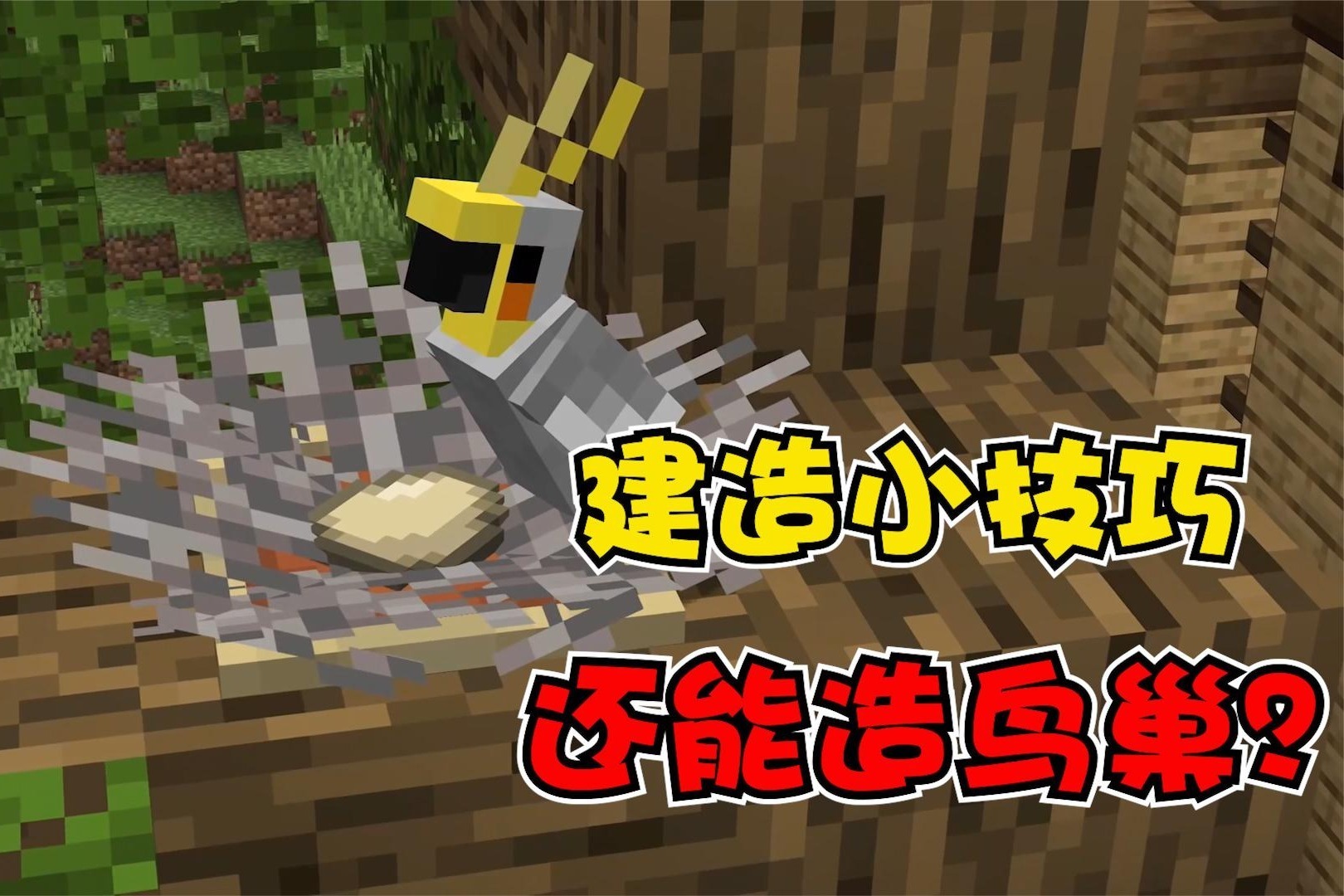 我的世界:奇葩建造小技巧,老玩家看了也在学!