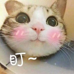 连续更新的阿光 