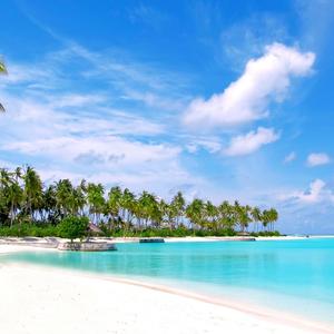 梦想，当你面，， 