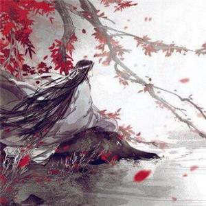青愿 