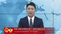 口播:将乐县委员会第一次会议决议.mpg