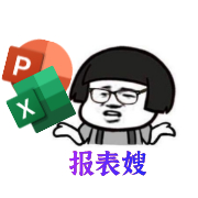 报表嫂 