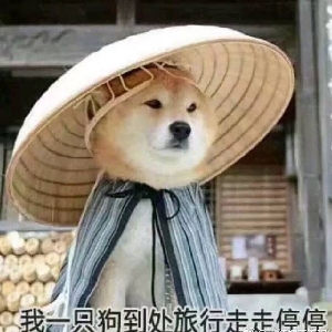 一只碳水脑袋懒羊羊 