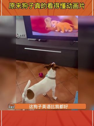 原来狗子真的看得懂动画片狮子王娱乐评论大赏