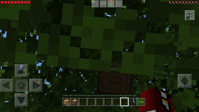 我的世界变形生存第一期