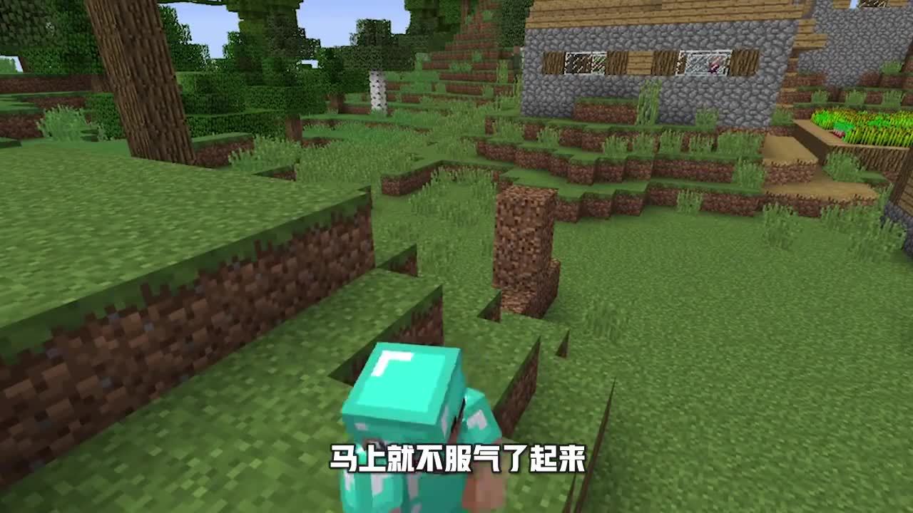 我的世界:阿呆为救史蒂夫只身犯险 不料自己却落入敌手!