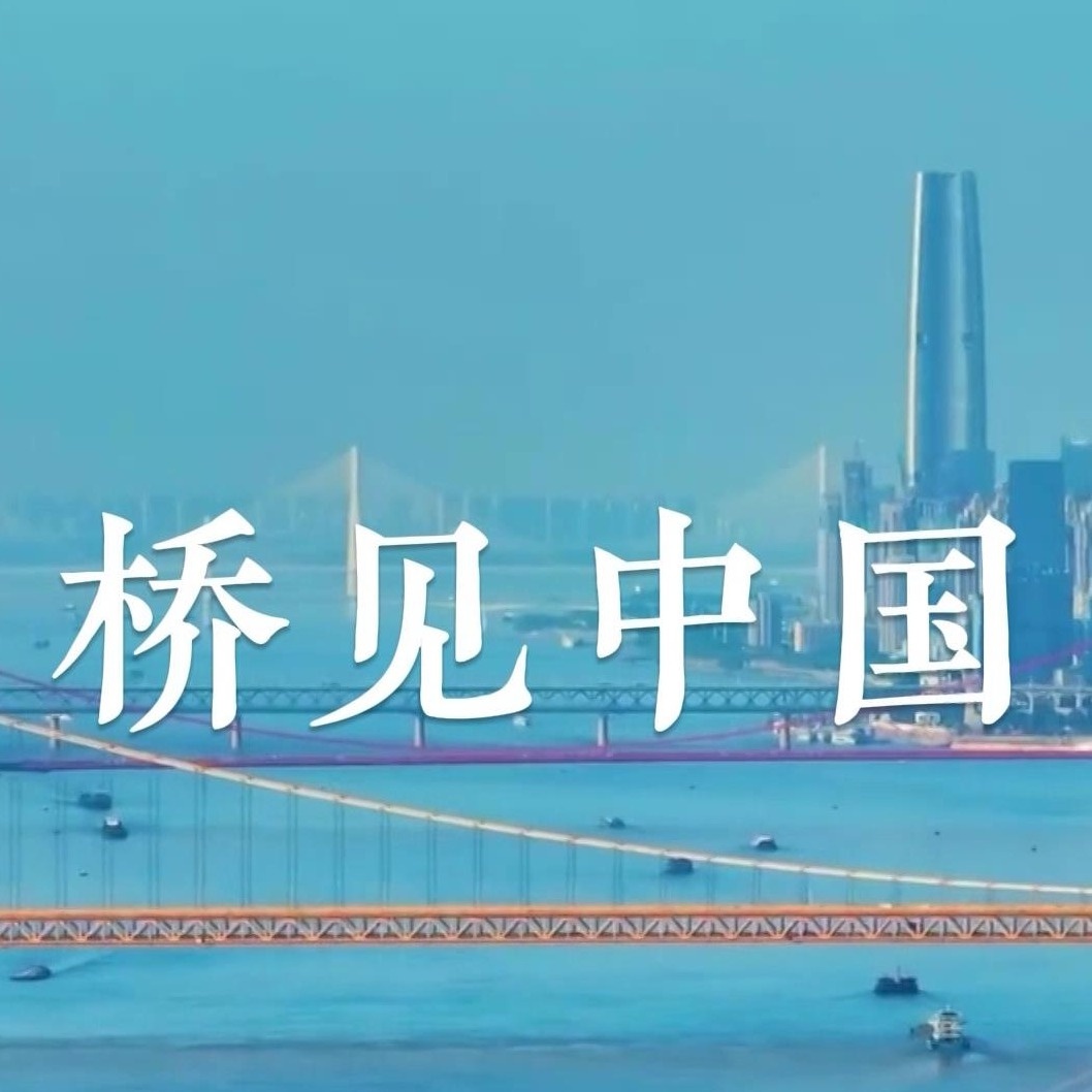 桥见中国 | 全球一半以上大跨桥梁由武汉桥企拿下
