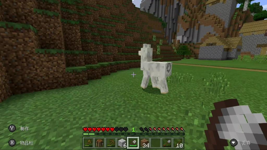 我的世界 switch 基岩版 布置村落里的小房子