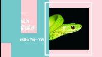 蛇的简笔画怎么画?原来只要画好这里其他都可以自由发挥!