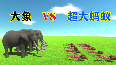 动物战斗模拟器:10只“超大号”斗牛犬蚂蚁挑战3头大象,谁会获胜呢?