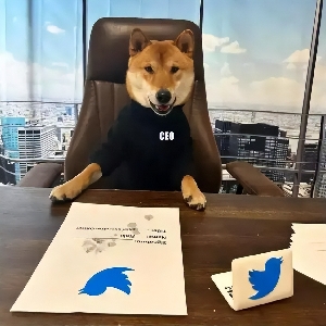 中国汽车的崛起 