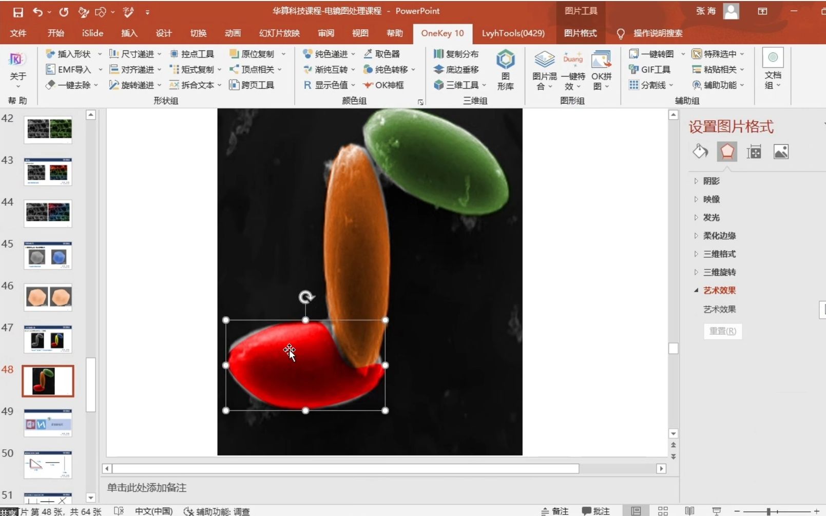 一定能学会的TEM图像上色技巧