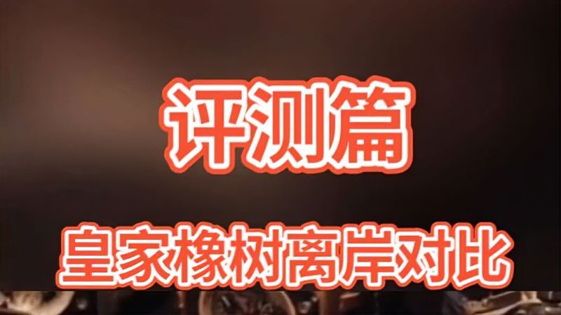 腕表知识:爱彼皇家橡树离岸型对比评测篇