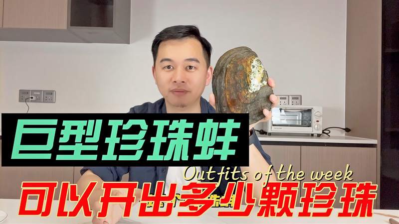 没玩过系列:一颗巨型珍珠蚌,可以开出多少颗珍珠?