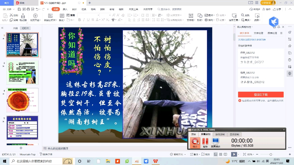北师大版七年级上册生物第三单元第五章第五节运输作用