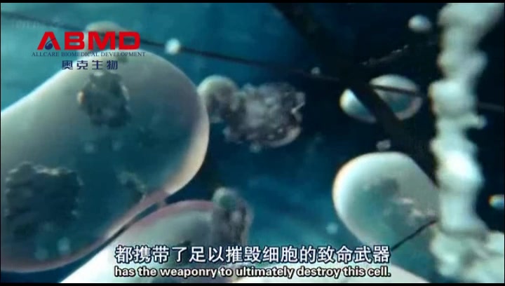 病毒是如何进入体内细胞内的?