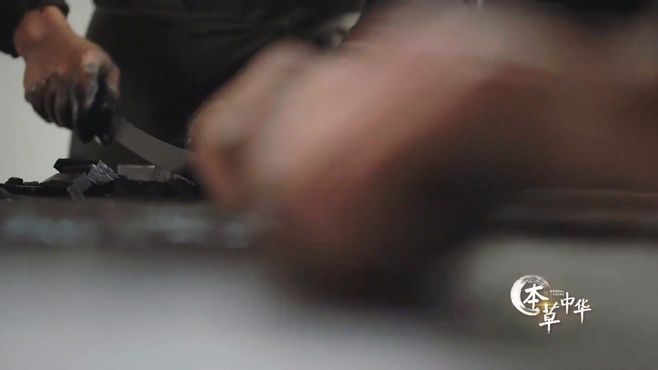 本草中华:墨竟也是药材,是世界上最黑的中药,功效还挺常用
