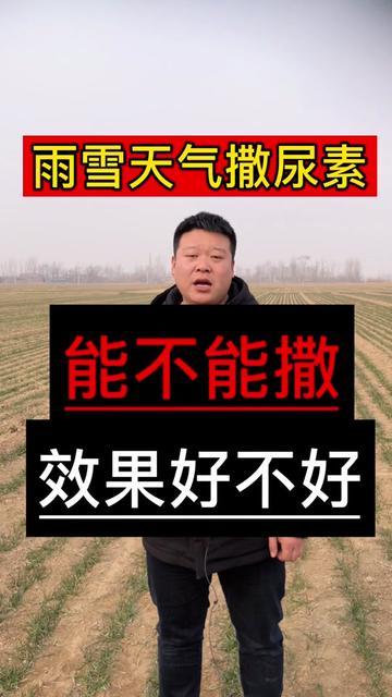雨雪天气要来了,能不能撒尿素