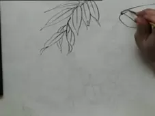 水墨画鱼的画法水墨画梅花画法视频