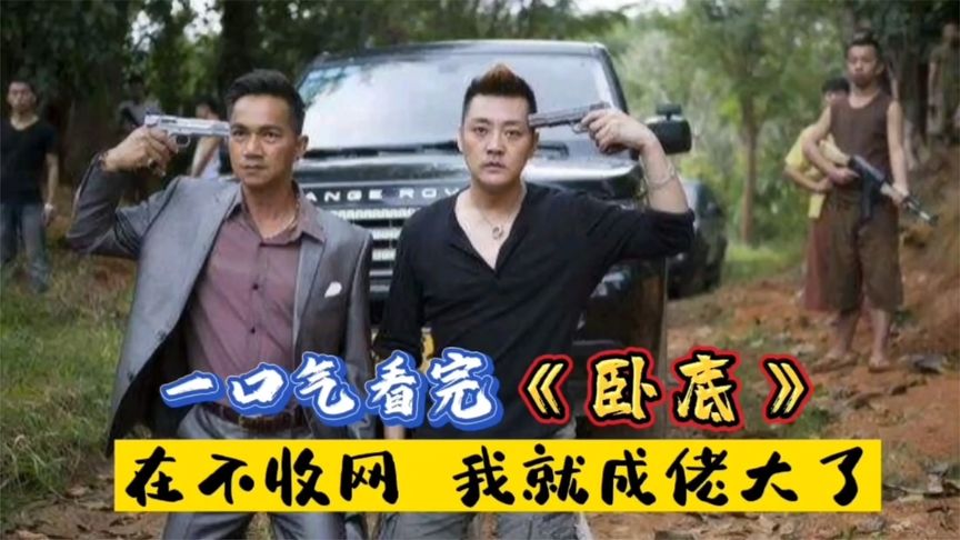 一口气看完,缉毒电视剧《卧底1》你在不收网,我就要成大佬了