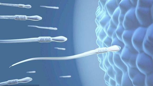 人工授精和试管婴儿的区别是什么?不孕不育的爸妈一定要了解!